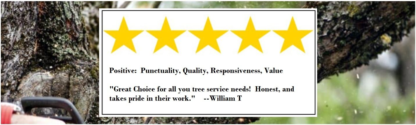 Progressive Tree Service, MI – progressivetreeservicemi.com